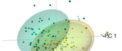 Figdraw 17 Sci 文章绘图之主成分绘图 Pca3d 知乎