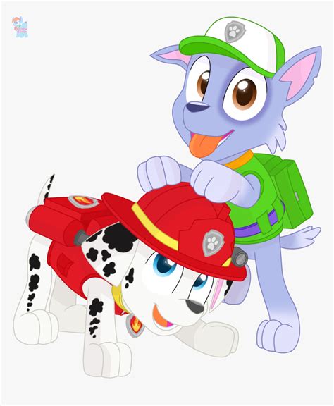 Marshall And Rocky Paw Patrol Relationships Hd Png Download