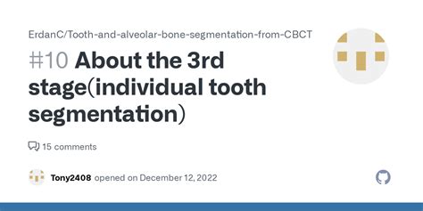 About The 3rd Stageindividual Tooth Segmentation · Issue 10 · Erdanc