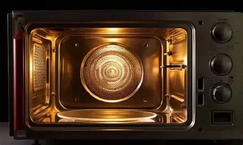 Microwave Resistant Microorganisms Unexpected Applications Huankai Group Huankai Group