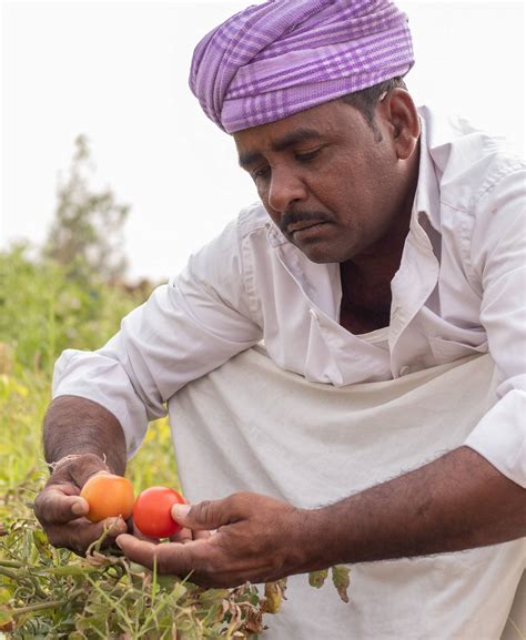 Agriknow And Crop Doctor Smart Solutions By Agribazaar