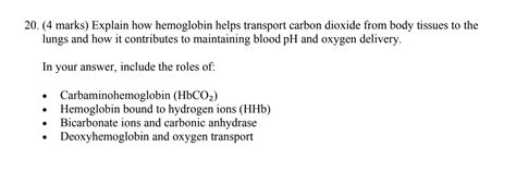 Solved 20 4 ﻿marks ﻿explain How Hemoglobin Helps