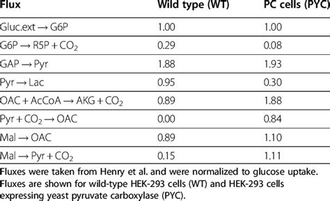 Metabolic Fluxes In The Network Model Used For Data Simulation Download Table