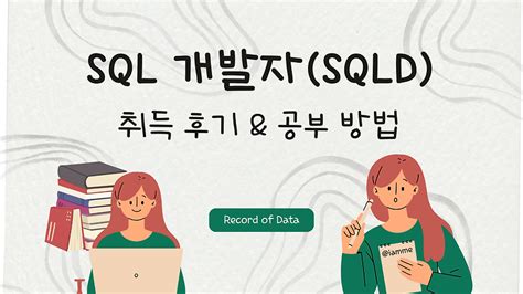 자격증 Sql 개발자sqld 취득 후기 And 공부 방법 제 49회