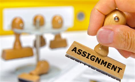 Mastering University Assignments A Comprehensive Guide