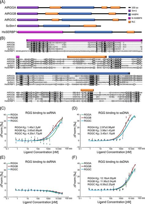 The Arabidopsis Genome Contains Three Genes Encoding Download