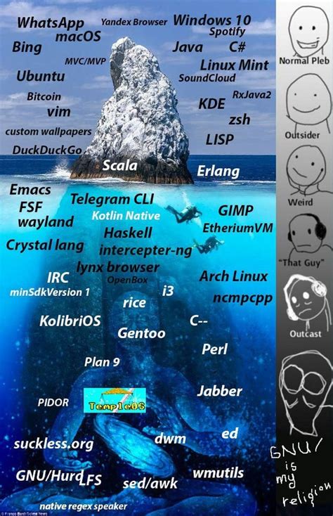 i use void gnu linux with dwm btw r linuxmemes
