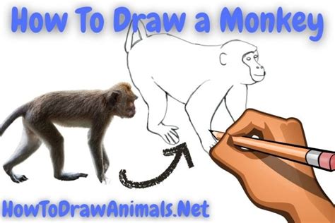 How To Draw A Mule Fun And Easy Drawing Tutorial