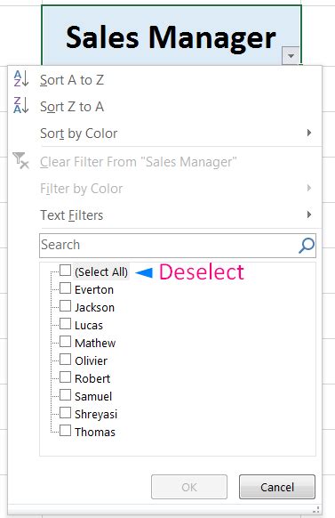 04 Simple To Advanced Methods How To Filter In Excel Kingexcelinfo