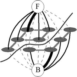 Graph Cut S Image Representation Download Scientific Diagram