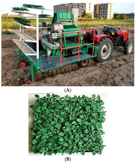 Design Of And Experiment With Seedling Selection System For Automatic Transplanter For Vegetable