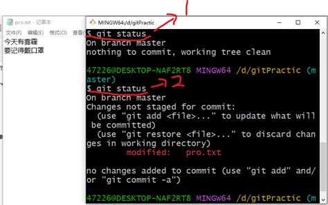 Git基本操作与分支 Csdn博客