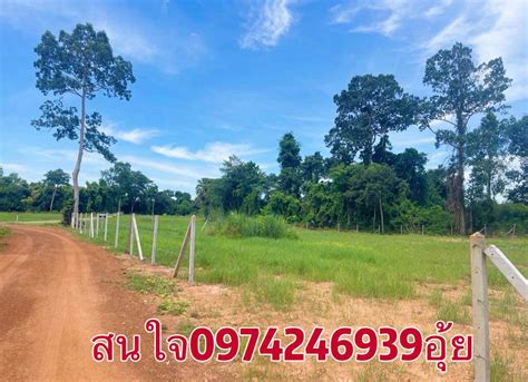 ขายที่ดิน2ไร่ราคายกแปลง495 000บาทบ้านหนองจิก ต วังดาล อ กบินทร์บุรี จ ปราจีนบุรี
