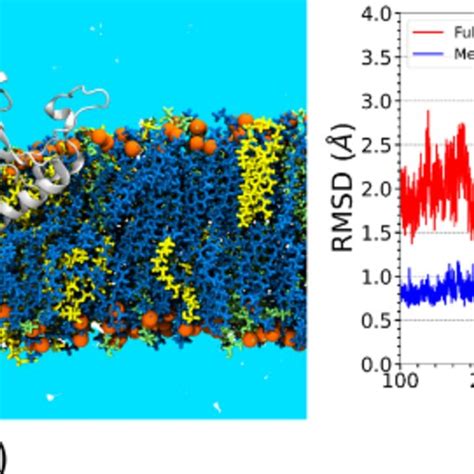 A Pictorial Representation Of The Popepopgcl 672310 Lipid