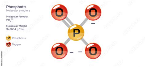 Phosphate Molecular Structure Formula Periodic Table Structural Molecular Formula Vector Design