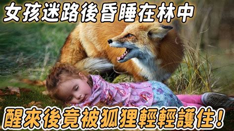 女孩意外在森林中暈倒，再醒來時面前竟站著一只狐狸，下一秒狐狸竟做出了令人震驚的舉動 Youtube