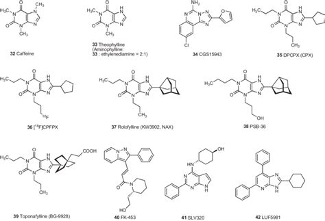 Nonselective And A 1 Selective Antagonists Download Scientific Diagram