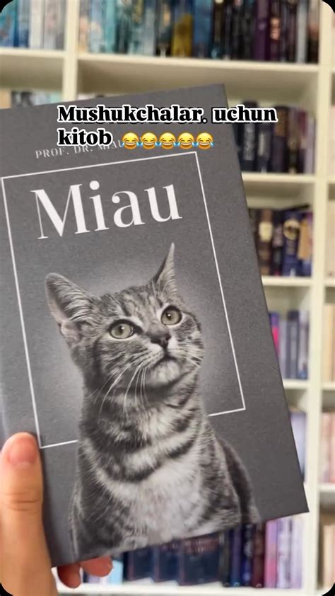 Mushuk Va Mushukchalar Mushukchalar Ku • Instagram Photos And Videos