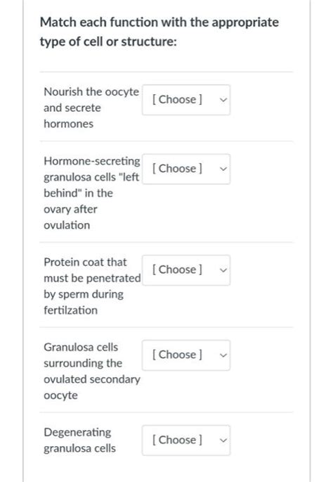 Solved Match Each Function With The Appropriate Type Of Cell Chegg Com