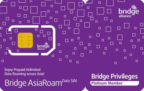 2 For 1 Deal On Unlimited Data Roaming SIM Executive Traveller