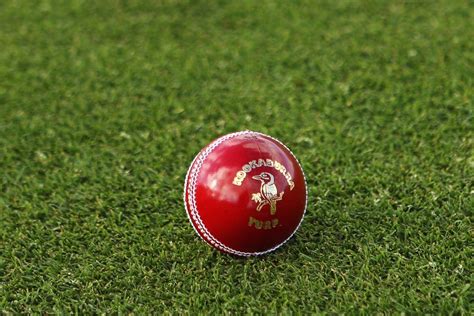 India Vs New Zealand Live Cricket Score And Updates