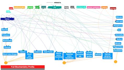 Semantic Grouping By Relation To Organ Download Scientific Diagram