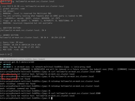 istio 1 11 4 [smart dns] smart dns proxy is breaking dns resolution in