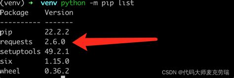 python之虚拟环境venv实战详解 python m venv csdn博客