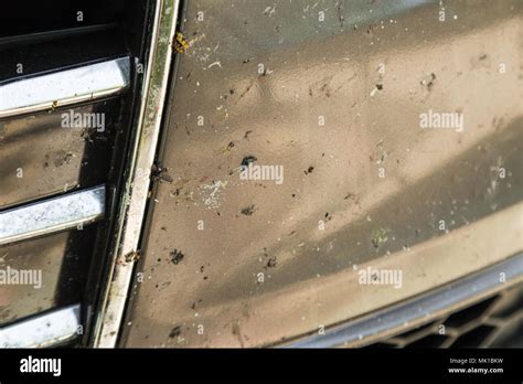 Close Up Of Car Front Bumper With Many Smashed Insects High Speed
