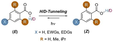 Studied Model System Benzoic Acid Derivatives Were Employed For