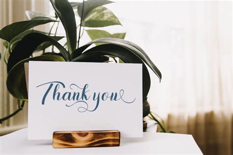 Olivia Script Font Fonts