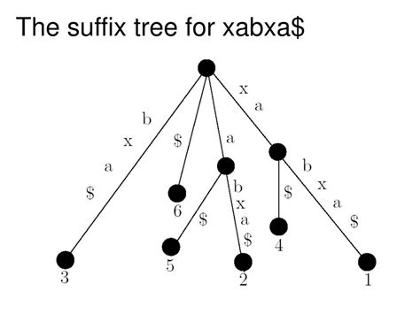 Ppt Suffix Trees And Suffix Arrays Powerpoint Presentation Free