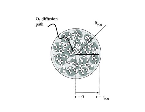 3 Agglomerate And Thin Film Structure 100 Download Scientific Diagram