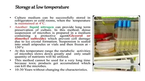 Isolation And Preservation Methods Measurement Of Bacterial Growth Presentation 5 Pptx