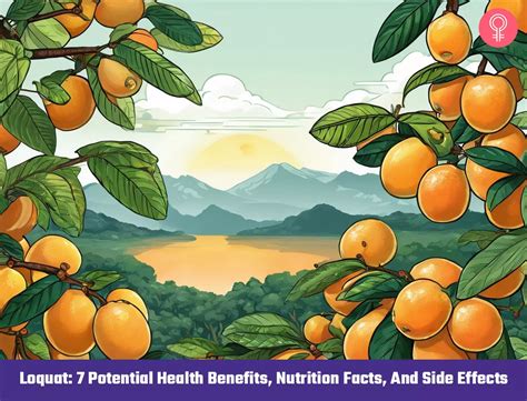 Loquat 8 Potential Health Benefits Nutrition Facts And Side Effects