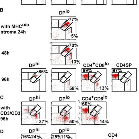 Lineage Commitment And Loss Of Cd8 Lineage Potential During Mhc Class Download Scientific