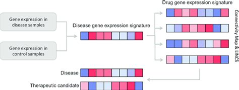 Analysis Pipeline In The First Step Gene Expression Values Are