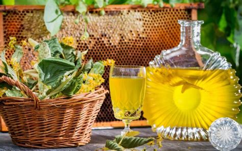 Медовуха с хмелем Рецепты Онлайн