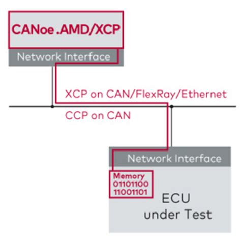 How To Enable Xcp In Canoe At Chloe Snider Blog
