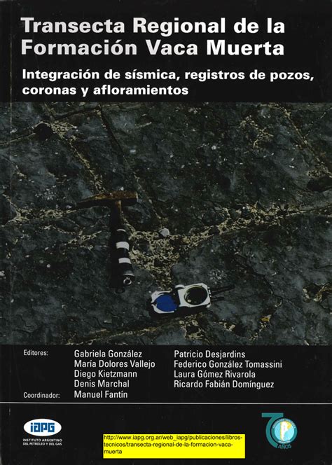 Pdf Transecta Regional De La Formacion Vaca Muerta
