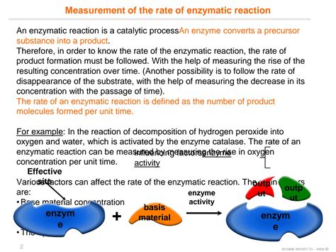 Solution Unlocking The Secrets Of Enzymatic Activity Exploring The Factors That Shape Reaction