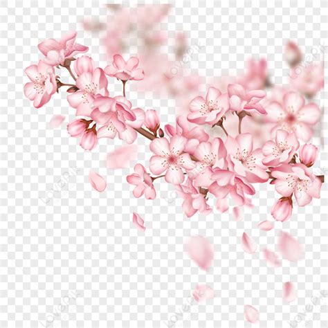 분홍색 벚꽃 꽃잎이 떨어지는 나무 일러스트 가지클립 아트체리 나무 Png 일러스트 무료 다운로드 Lovepik