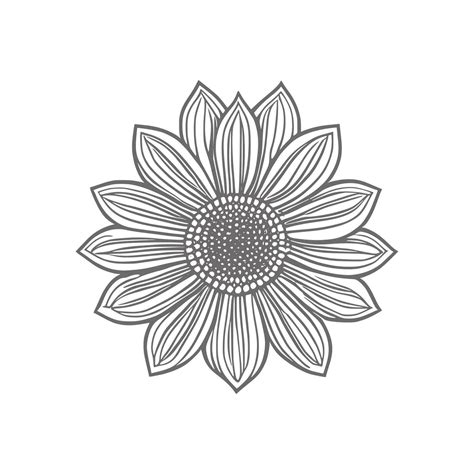 Sunflower Line Art Vector 24846089 Vector Art At Vecteezy
