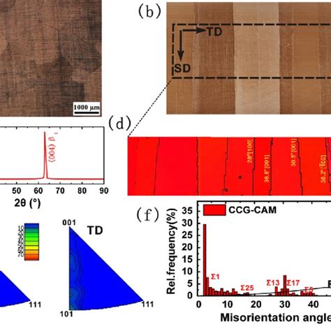 A The Transversal And B The Longitudinal Section Microstructures Of Download Scientific
