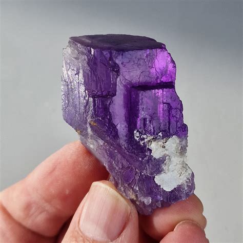 Halite Italy Gfs0352 Mcp Gallery