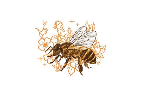Premium Vector Bee And Flower Vector Illustration With Color