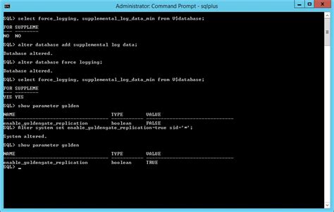 netsoftmate technical blog setup oracle golden gate one way