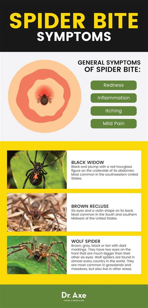 Bug Bite Identification Chart