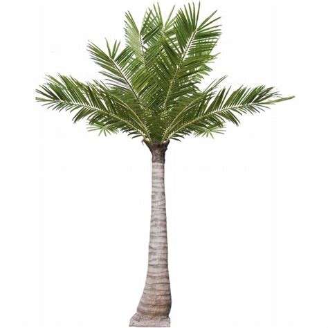 China Artificial Coconut Trees Suppliers Manufacturers Factory Customized Artificial Coconut