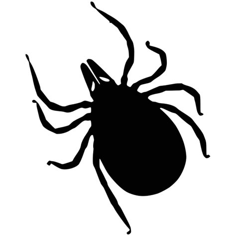 Bug Silhouette Free Svg